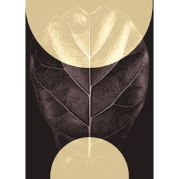 Bild Komar, B:50cm H:70cm, braun, Holz, Papier, Wohnzimmer, Bilder, "Shadow Theatre", Wandbild zur Dekoration - ohne Rahmen