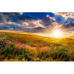 papermoon Fototapete "Wild Flowers Mountain Sunset", B/L: 4mm x 2,6mm, Bahnen: 8 Stk. St., bunt, Tapeten