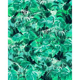 Komar Vliestapete "Digitaldruck Vlies - Evergreen - Gr&ouml;&szlig;e 200 x 250 cm", B/L: 200mm x 250mm, Rollen:, gr&uuml;n, Tapeten, Wohnzimmer, Schlafzimmer