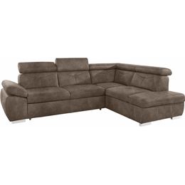 Ecksofa, B:274cm H:81cm T:206cm, grau, exxpo - SOFA FASHION, NaturLEDER (echtes Rindsleder) in Sitz und R&uuml;cken. Korpus in passendem Kunstleder