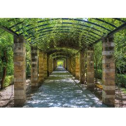 papermoon Fototapete "Garden of Athens", B/L: 5m x 2,8m, Bahnen: 10 Stk., bunt, Tapeten