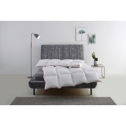 Daunenbettdecke Ribeco, B:200cm L:200cm, wei&szlig;, Bezug: 100% Baumwolle. F&uuml;llung: 90% Entendaune, 10% Entenfeder, Bettdecken, "Richard, Bettdecken f&uuml;r