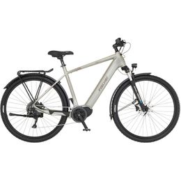 FISCHER BIKE FISCHER FAHRRAD E-Bike "TERRA 4.0i 55", 55cm, 29 Zoll (73,66cm), grau, Elektrofahrräder, Pedelec, Elektrofahrrad für Damen u. Herren