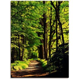 Wandbild Artland, B:45cm H:60cm, gr&uuml;n, Wohnzimmer, Bilder, "Weg im Wald", als Alubild, Outdoorbild, Leinwandbild, Poster in verschied. Gr&ouml;&szlig;en