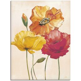 Wandbild Artland, B:90cm H:120cm, bunt, Wohnzimmer, Bilder, "Bunte Mohnblumen I", als Alubild, Outdoorbild, Leinwandbild, Poster, Wandaufkleber