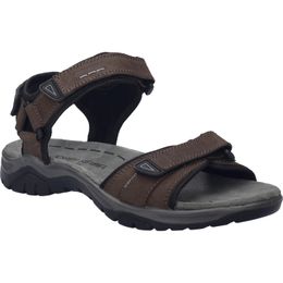 Josef Seibel Damen Sandale "Arlo 01, braun", Gr. 43, braun, Obermaterial: 100% Rindsleder Leather cow., Schuhe
