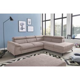 Ecksofa COTTA, B:249cm H:72cm T:207cm, braun, Microfaser (100% Polyester);Flachgewebe (100% Polyester), Wohnzimmer, Sofas, "Kitty L-Form, B: 249 cm",