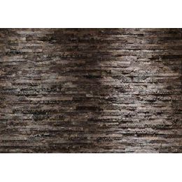Komar Fototapete "Birkenrinde - Gr&ouml;&szlig;e 368 x 254 cm", B/L: 368mm x 254mm, Rollen: 8 St., braun, Tapeten, Wohnzimmer, Schlafzimmer