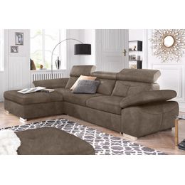 Ecksofa, B:284cm H:81cm T:181cm, grau, exxpo - SOFA FASHION, Luxus-Microfaser (100% Polyester);Struktur (100% Polyester);NaturLEDER (echtes