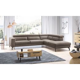 Ecksofa Places of Style, B:305cm H:76cm T:233cm, braun, Bezug: Luxus-Mikrofaser (100%Polyester);Bezug: NaturLEDER, Wohnzimmer, Sofas, "Olanta, modern