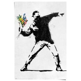 Poster Reinders, B:61cm H:91,5cm T:0,1cm, schwarz, Holzwerkstoff, Bilder, "Brandalised - the flower thrower"