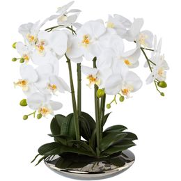 Kunstorchidee Creativ green, B:28cm H:41cm T:30cm, weiß, Obermaterial: 95% Polyethylen, 5% Polyester, Kunstpflanzen, "Deko-Orchidee Phalaenopsis in