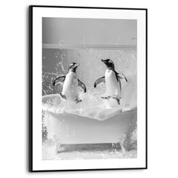 Poster Reinders, B:30cm H:40cm T:1,6cm, schwarz-wei&szlig;, Bilder, "Penguin Splash", Toilette - Schwarz-Wei&szlig; - MDF - Tiere - 30x40 cm