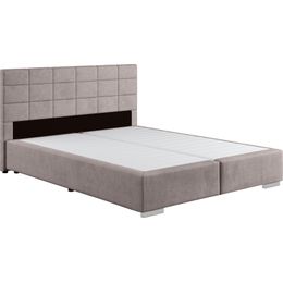 Boxspringbett COTTA, L:209cm, grau, Polyester, Komplettbetten, "Simba", Topseller wahlweise mit oder ohne Matratze und Topper bestellbar