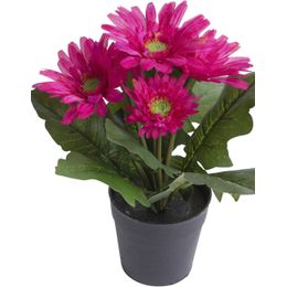 Kunstblume BOTANIC-HAUS, B:24cm H:26cm T:24cm Ø:24cm, bunt, Kunststoff, Kunstpflanzen, "Gerbera mit 5 Blüten"