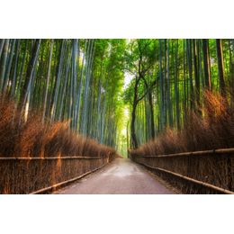 papermoon Fototapete "Bamboo Grove of Kyoto", B/L: 3,5m x 2,6m, Bahnen: 7 Stk., bunt, Tapeten