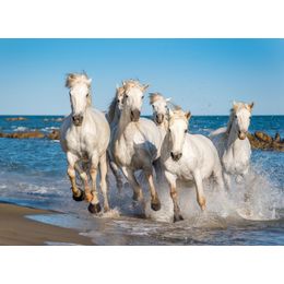 papermoon Fototapete "Camargue Horses", B/L: 4m x 2,6m, Bahnen: 8 Stk., bunt, Tapeten
