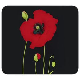 Maximex Herd-Abdeckplatte "Multi Modell Mohn", B/H/L: 56cm x 0,5cm x 50cm, bunt, Herdabdeckplatten, Spritzschutz, Herdblende, Schneidbrett, f&uuml;r
