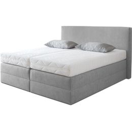 Boxspringbett, B:215cm L:205cm, grau, Westfalia Schlafkomfort, Microvelours (100% Polyester), Komplettbetten, wahlweise mit Kaltschaum-Topper
