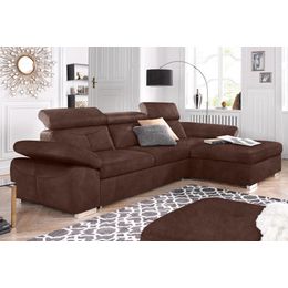 Ecksofa, B:284cm H:81cm T:181cm, braun, exxpo - SOFA FASHION, Luxus-Microfaser (100% Polyester);Struktur (100% Polyester);NaturLEDER (echtes