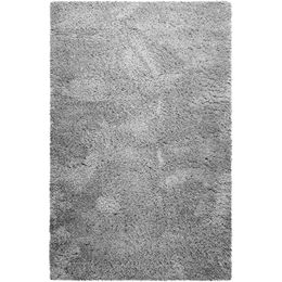 Hochflor-Teppich HOMIE LIVING, B:133cm H:50mm L:200cm, grau, Polyester, Teppiche, "Matteo HL-0961", 100% recyceltem PET, Langflor, Shaggy, Wohnzimmer