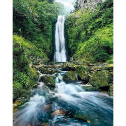 Komar Vliestapete "Digitaldruck Vlies - Glenevin Falls - Gr&ouml;&szlig;e 200 x 250 cm", B/L: 200mm x 250mm, Rollen:, gr&uuml;n, Tapeten, Wohnzimmer, Schlafzimmer