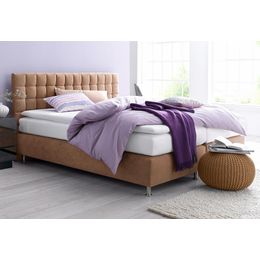 Boxspringbett, B:215cm L:210cm, braun, Westfalia Schlafkomfort, Microvelours (100% Polyester);Strukturstoff (77% Polyester und 23%