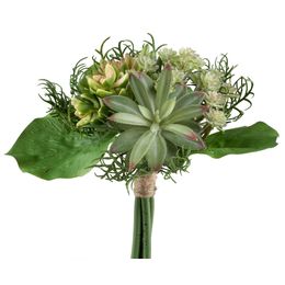 Kunstpflanze Creativ green, H:24cm, gr&uuml;n, Kunststoff, Kunstpflanzen, "Sukkulenten-Bouquet", mit gr&uuml;nrosa Farbgebung