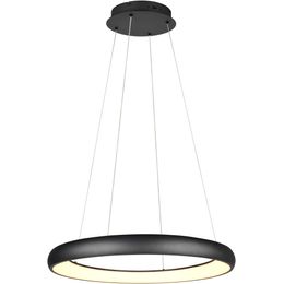 Trio LEUCHTEN LED Pendelleuchte "CARDONA, LED Ring Hängeleuchte, 6900 Lumen 59W, Lichtfarbe einstellbar", 1, Ø 75cm H: 150cm, 1 Stk., schwarz,