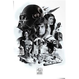 Poster Reinders, B:61cm H:91,5cm, schwarz, Papier, K&uuml;che, Bilder, "Poster Star Wars 40 Jahre"
