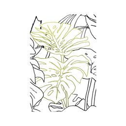 Bild Komar, B:30cm H:40cm, gr&uuml;n, Holz, Papier, Wohnzimmer, Bilder, "Monstera Borsigiana", Wandbild zur Dekoration - ohne Rahmen