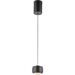 JUST LIGHT Pendelleuchte "BALLINI", 1, Ø 10cm H: 67cm, 1 Stk., schwarz, Esszimmer, Leuchten, LED, Comfort Lift