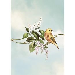 Bild Komar, B:50cm H:70cm, bunt, Holz, Papier, Wohnzimmer, Bilder, "Gazouillis des Oiseaux", Wandbild zur Dekoration - ohne Rahmen