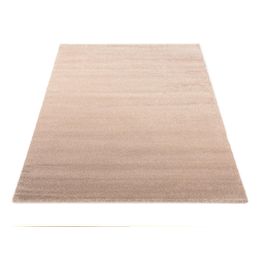 Teppich, B:200cm H:20mm L:250cm, beige, OCI DIE TEPPICHMARKE, Polypropylen, Wohnzimmer, Teppiche, "BELLEVUE, auch als L&auml;ufer und in Rund",
