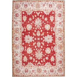 Teppich me gusta, B:230cm H:6mm L:330cm, rot, Polyester, Wohnzimmer, Teppiche, "Faye 625", Flachgewebe, gedrucktes Motiv, Wohnzimmer, Esszimmer