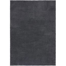 Teppich FLAIR RUGS, B:160cm H:23mm L:230cm, grau, Kunstfaser, Wohnzimmer, Teppiche, "Fluffy"