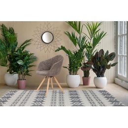 Polsterstuhl Kayoom, B:59cm H:82cm T:55cm, grau, Sitz: Stoff 100% Polyester / Gestell: Stahl / Beine: Buchenholz, Esszimmer, St&uuml;hle, "Stuhl Chadwick
