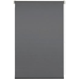 Seitenzugrollo OTTO HOME, B:80cm H:150cm, grau, Polyester, Rollos, "Uni Klemmrollo", Schraubmontage m&ouml;glich