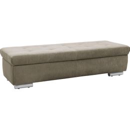 Hocker DOMO collection, B:161cm H:41cm T:60cm, braun, 100% Polyester, Wohnzimmer, Hocker, "Treviso XXL: B/T/H: 161/60/41 cm", mit Stauraum, auch in