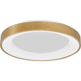 NOVA LUCE LED Deckenleuchte "RANDO THIN", 1, Ø 60cm, 1 Stk., gold, Wohnzimmer, Leuchten