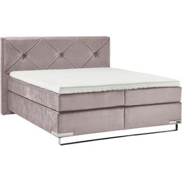 Boxspringbett, B:177cm L:214cm, lila, Gallery M BRANDED BY MUSTERRING, Komplettbetten, "Dubai", Kufe in Chrom, 3 Härtegrade, Kopfteil mit Knopfheftung