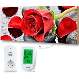 Marmony Infrarotheizung "MOTIV-Heizkörper "Red Roses" 830017, 800 Watt", B/H/T: 100cm x 40cm x 2cm, 800 W, grau, Werkstatt, Heizkörper, aus deutschem