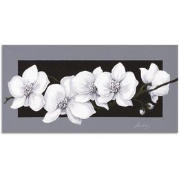 Wandbild Artland, B:60cm H:30cm, schwarz, Wohnzimmer, Bilder, "Weiße Orchideen auf grau", als Alubild, Outdoorbild, Leinwandbild, Poster,