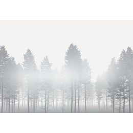 Komar Vliestapete "Digitaldruck Vlies - Silver Haze - Gr&ouml;&szlig;e 400 x 280 cm", B/L: 400mm x 280mm, Rollen:, wei&szlig;, Tapeten, Wohnzimmer, Schlafzimmer