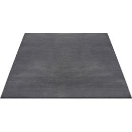 Teppich the carpet, B:240cm H:11mm L:340cm, grau, Polyester, Ankleidezimmer, Teppiche, "Cosy", Wohnzimmer Teppich Fell-Optik waschbar elegant