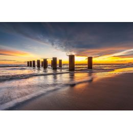 papermoon Fototapete "Amazing Tree on the Rock", B/L: 3,5mm x 2,6mm, Bahnen: 7 Stk. St., bunt, Tapeten