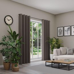 Neutex for you! Verdunkelungsvorhang NEUTEX FOR YOU, B:137cm H:270cm, braun, Polyester, Gardinen, "INSULA", Uni-Dimout f&uuml;r starke Verdunklung, nach Ma&szlig;