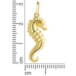 Firetti Damen Kettenanh&auml;nger "Schmuck Geschenk Gold 333 Halsschmuck Anh&auml;nger Halskette Seepferd", Gelbgold 333, 0,54 g, gold, Gelbgold 333,