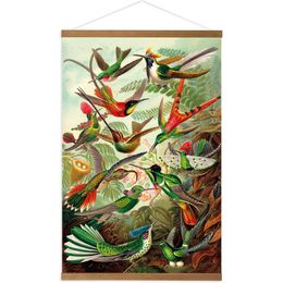 Leinwandbild, B:60cm H:80cm T:2,3cm &Oslash;:2,3cm, bunt, Art for the home, Leinwand, Wohnzimmer, Bilder, "Hummingbirds", Luxus Kakemono Leinen Wandposter
