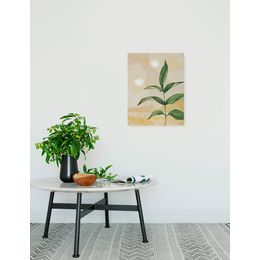 Leinwandbild Komar, B:30cm, bunt, Holz, Papier, Wohnzimmer, Bilder, "Desert Survivor - Gr&ouml;&szlig;e 30 x 40 cm", Keilrahmenbild mi Echtholzrahmen